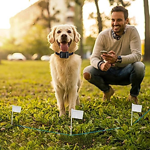 AYNEFY Pet Fence Coil Wire Cables,300m/984ft Dog Fencing System Boundary Electric Wire Dog and Cat Containment Fences Supplies