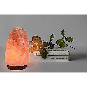 7 Inch Himalayan Salt Lamp with Dimmer Cord - Night Light Natural Crystal Rock Classic Wood Base Authentic from Pakistan