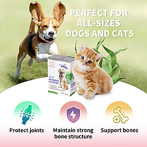 Love Can Fly Dog and Cat Joint Protection and Bone Health - Patented UC-II & Seaweed Calcium/Natural Anti-Inflammatory/Maintain Strong Bone Structure/Enhanced Nutrition - 120 Capsules