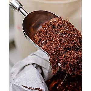 Soil Scoop Garden Tool Garden Dirt Scooper Hand Shovel for Planting Gardening Composting Potting Transplanting Filling Bird Feeders Stainless Steel Bonsai Soil Scoop Plant Shovel with Hardwood Handle