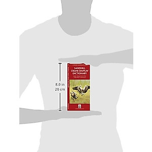 Sandhill Crane Display Dictionary: What Cranes Say With Their Body Language (Nature Observation North America)