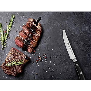 WÜSTHOF Classic IKON 4-Piece Knife Block Set