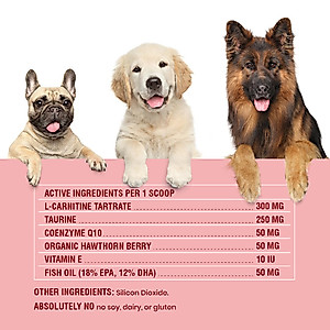 Special Breed Cardio Support for Dogs - Heart Health Support with Taurine, CoQ10, Organic Hawthorne Berry, Powder Supplement, 120 Scoops, 3.14 oz