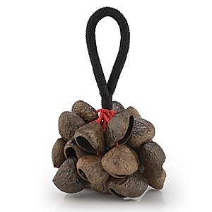 Pearl Pangi Nut Shaker with Rope Handle (PBPGRH14)