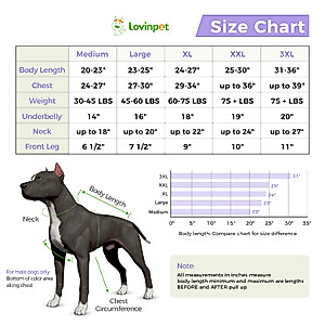 LovinPet Dog Surgery Recovery Suit - Professional Large Dog Recovery Suit Abdominal Wound Surgical Clothes Post-Operative Vest E-Collar Alternative Recovery Shirt Cut-Out Design of Abdomen,L