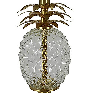 Décor Therapy PL4335 Dalila Floor Lamp, Polished Brass, Clear Glass