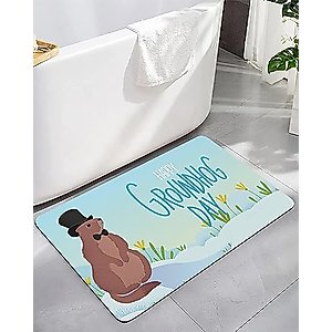 Groundhog Day Bath Mat for Tub,Non Slip Bathroom Floor Runner Rug Quick Dry & Absorbent Diatomaceous Earth Shower Sink Kitchen Living Room Washable Doormat,Spring Blue Forest Green Grass 16"x24"