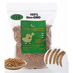 Euchirus Non-GMO High-Protein Large Dried Mealworms for Chickens, Natural Grubs and Poultry Treats as Chicken Feed,Duck Food, Wild Birds Seed,Fish Food,Reptile Food,Amphibian Food(Mealworms-5LB)