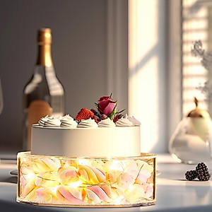 Tioncy 6 Pcs Clear Acrylic Cake Stand Fillable Cake Box Riser LED Fairy Lights Starry Fairy Lights Round Foam Cake Dummy Set Faux Cake for Cupcake Dessert Birthday Wedding Party