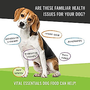 Vital Essentials Freeze Dried Dog Food, Beef Mini Nibs 16 oz