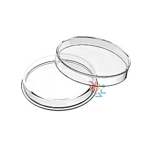 OnFireGuy High Relief 39mm Direct Fit for 2oz Queen's Beast & 2oz Biblical Series, Qty: 10