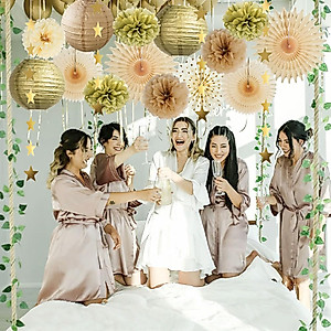 Brown Gold Party Decorations Paper Lanterns Cream Tissue Paper Pom Poms Flowers with Star Garland for Brown Birthday Party Rustic Wedding Baby Shower Retirement Gold Graduation Decorations