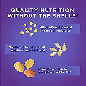 Audubon Park No Waste Blend Wild Bird Food, Premium Shell Free and No Mess Bird Seed for Outside Feeders, 5-Pound Bag