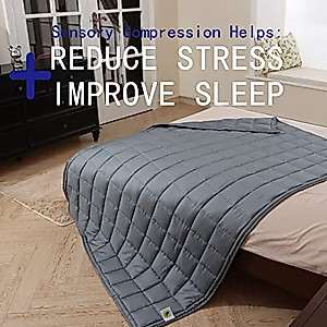 George's Dinosaur Weighted Blanket Breathable Heavy Blanket with Glass Beads Big Blanket for Adult All-Season Fall Winter Soft Thick Comfort Blanket No Leaking Glass Beads(48"x72"-10lbs Dark Gray)