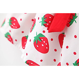 Gifts for One Year Old Girl Print Baby Clothes Princess Outfit Hat Girls Dress Suspenders Strawberry (Red, 18-24 Months)