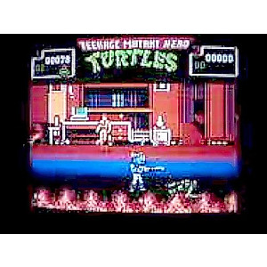 Teenage Mutant Hero Turtles the Coin-up