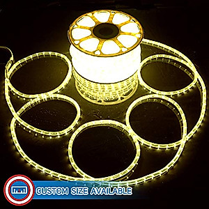 Russell Decor LED Rope Lights Festival Holiday Party Seasonal Christmas Decoration 30ft - 200ft Customized Available (Warm White, 20)