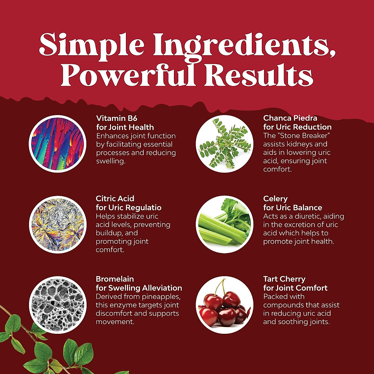 Vegan Uric Acid Cleanse and Detox - Daily Kidney Cleanse and Uric Acid Support for Adults - Tart Cherry Extract Capsules with Detox Cleanse Herbal Blend for Men and Women's Joints Kidneys and More