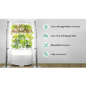 iHarvest Indoor Garden | Grow 30 Healthy Plants 30-50% Faster & Bigger in a Beautiful, Space Conscious Vertical Indoor Garden. No Chemicals or GMO's Needed.