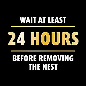 Ortho Home Defense Hornet & Wasp Killer7