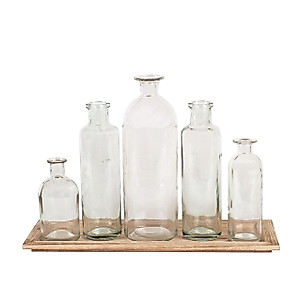 Creative Co-Op Set of 5 Vintage Bottle Vases on Wood Tray