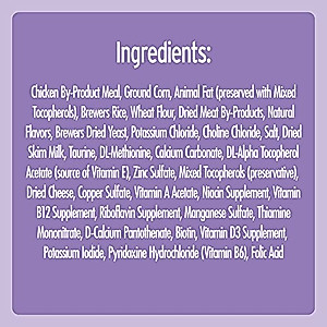 TEMPTATIONS Classic Crunchy and Soft Cat Treats Creamy Dairy Flavor, 16 oz. Tub