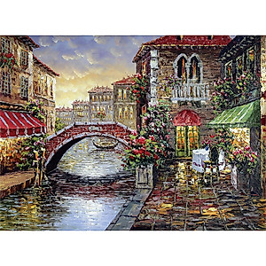 Jigsaw Puzzles 2-Pack 1000 Pieces, for Adults Families (Rose Town & Space Traveler) Pieces Fit Together Perfectly