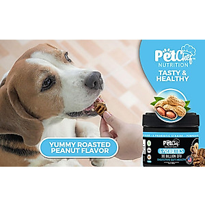 Pet Chef Dog Probiotic Prebiotic Chews-Digestion Stomach Health, Dog Smells. Probiotics & Enzymes for Dog Wellness - Improves Dog Anal Glands. All Natural & Organic
