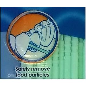 10 pk (100 ct each) Soft Bristle Dental Floss Picks, Interdental Brush, Toothpicks, Flexible Deep Clean