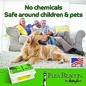 Happy Jack Flea Beacon Kill Fleas in House, Flea Killer, Attracts, Traps Indoor Fleas, Breaks Breeding Cycle Before Adults Lay Eggs, Safe, Fast, & Clean Way to Get Rid of Indoor Fleas, Made in USA