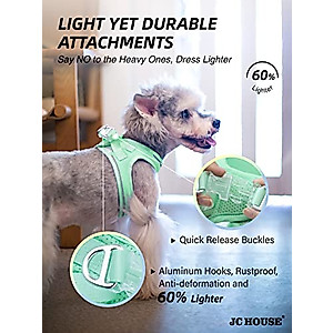 JC HOUSE Small Dog Harness, No Pull Lightweight Step-in Dog Vest, No Choke Escape Proof Reflective Soft Air Mesh Harness for Puppies & Cats Walking, Running Training and Daily Use, Green, S (M3S)
