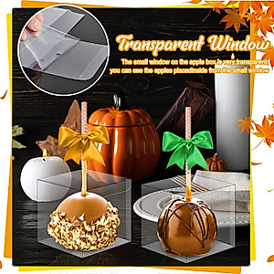 Juexica 100 Pcs Clear Caramel Apple Boxes with Hole Transparent Candy Apple Boxes PET Gift Boxes for Chocolate Wedding Ornaments Boxes, 4x4x4 Inch