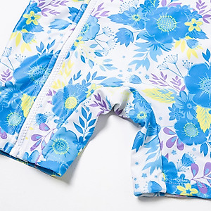 Baby/Toddler Girl One Piece Swimsuit Long Sleeve with UPF 50+ Sun Protection (Pink3, 9-12 Months)