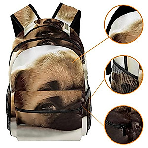 School Backpack Travel Backpack,Boy Girl Backpack,pug dog,Outdoor Sports Rucksack Casual Daypack