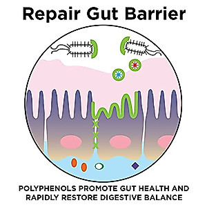 Dr Connies Gut Health | Supplement to Support Farm Animal Gut Barrier | Antibiotic-Free & Veterinarian-Developed | Increase Digestive Health Swine, Poultry, Calves