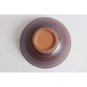 Mino ware Japanese Pottery Rice Bowl Matte Wine Red Akagusuri made in Japan (Japan Import) KSC005