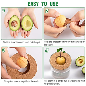 Biggun Avocado Tree Growing Kit - Avocado Pit Planting Bowl with Cork and Wooden Base, Cultivating Seedlings in Novel Way, Great Gift for Family Friends and Gardening Enthusiasts