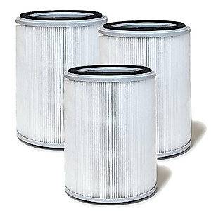 Nispira 3-in-1 True HEPA with Activated Charcoal Replacement Filters, Compatible with TOPPIN TPAP001 Air Purifier Comfy Air C2, 3-Packs