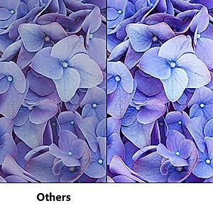 HGZ 8 Pack Black LC203XL LC203 Comaptible Ink Cartridges for Brother LC 203XL LC 203 XL use with MFC-J460DW MFC-J480DW MFC-J485DW MFC-J680DW MFC-J880DW MFC-J885DW Printers