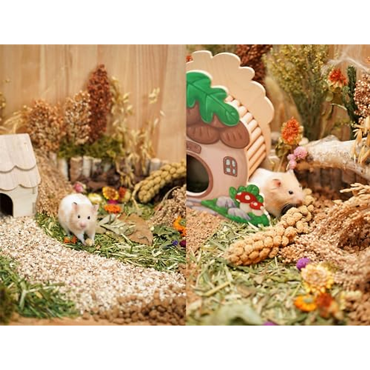 JFWOD Natural Hamster Bedding Flowers Herbs Sprays Treat Cereal Grain for Cage Habitat Enclosure Decor Hamster Chews for Dwarf Syrian Gerbils Mice Mouse Rat Forage Pet Hamster Accessories