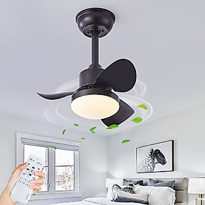 EMIKIRII Ceiling Fan with Lights and Remote,21'' Small Modern Ceiling Fan,Smart APP Control,Dimmable Metal Blades Flush Mount Quiet Mini Ceiling Fans Lights for Kitchen Dining Room Bedroom