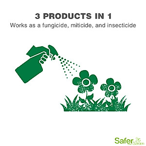 Safer Brand Garden SG5180 Insect Killing Fungicide, Miticide, and Insecticide Neem Oil Spray – Kills Insects & Mites – Controls & Prevents Fungal Disease – OMRI Listed for Organic Use – 24 oz