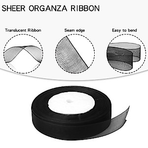 Hiswan 3/4 inch Sheer Organza Ribbon 50 Yards Black Chiffon Ribbon for Gift Wrapping Christmas Halloween Decoration Wedding Bouquet Crafts