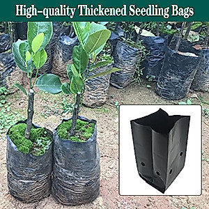 DredQcco 100PACK Plant Grow Bags,Thicken PE Seedling Bag Fruit Tree Seedling Cup Bonsai Planting Bag with Breathable Holes for Garden Black Planting Bags Nursery Bags (5.9'' Dia x 10'' H)
