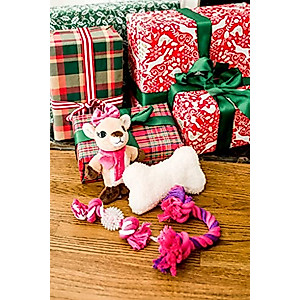 Dan Dee Rudolph The Red-Nosed Reindeer | 4-Piece Ball, Rope, and Two Squeaker Toy Bundle | Officially Licensed Holiday Pet Gift Sets |Clarice, Pink