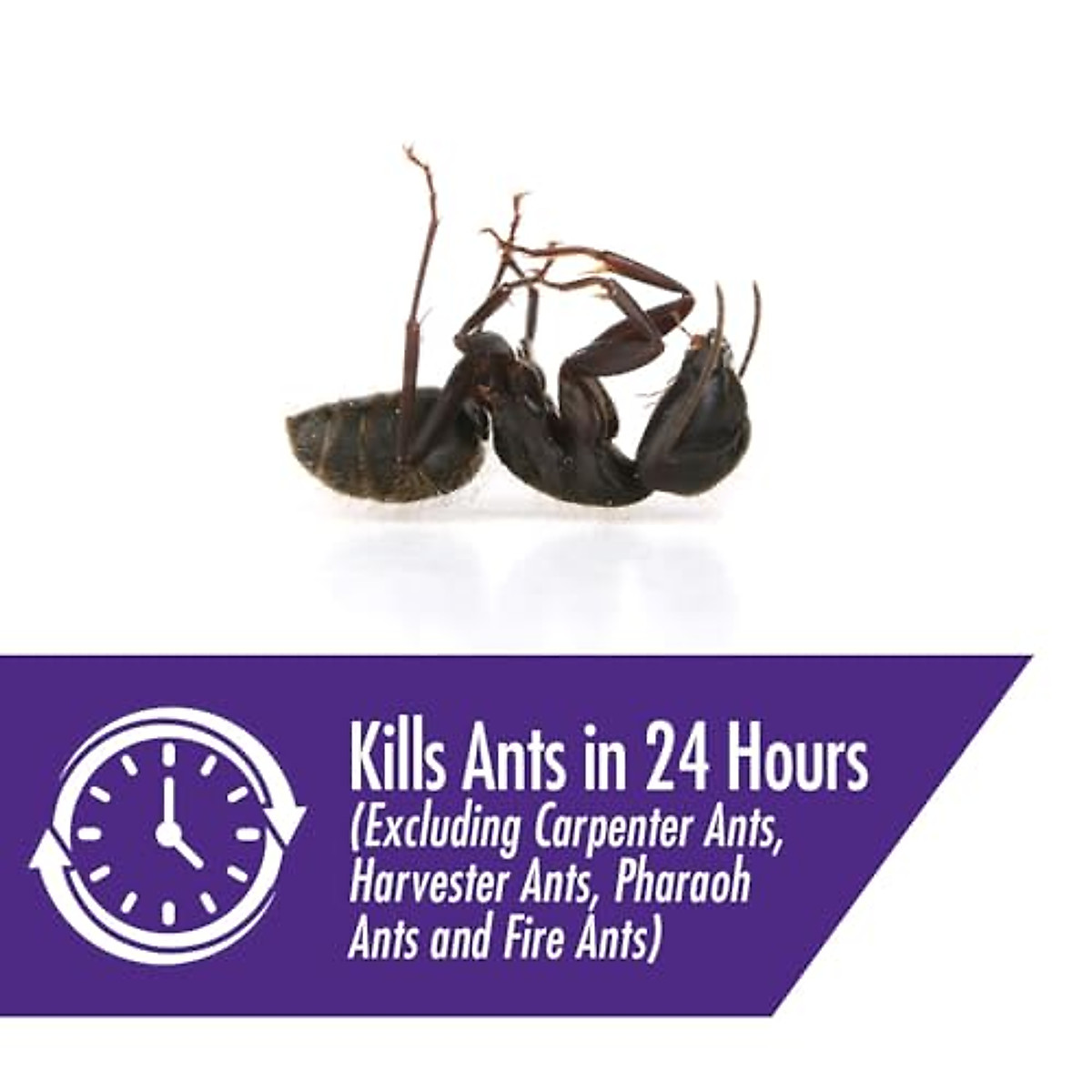 STEM Liquid Ant Baits, Kills The Queen and Colony, for Indoor Use, 8 Spill Proof Bait Stations