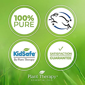 Plant Therapy Invigor Aid Essential Oil Blend 30 mL (1 oz) 100% Pure, Undiluted, Therapeutic Grade