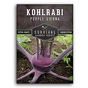 Survival Garden Seeds - Purple Vienna Kohlrabi Seed for Planting - Packet with Instructions to Plant and Grow Unique Cruciferous Vegetables in Your Home Vegetable Garden - Non-GMO Heirloom Variety