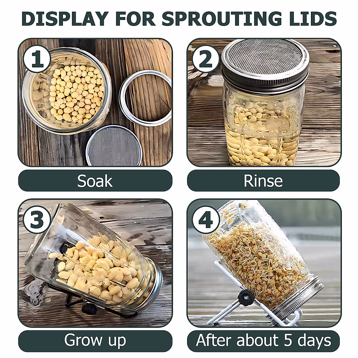 6 Pack Seed Sprouting Jar Lids: for 3.4"(86mm) Regular Mouth Mason Jars Fresh Sprouts at Home | Strainer Screen for Canning Jars | 304 Stainless Steel Lid for Growing Broccoli, Alfalfa, Beans & More