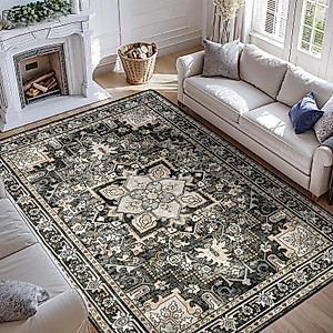 Shilucheng 9x12 Rugs for Living Room,Soft Low-Pile Machine Washable Rug Clearance for Bedroom Dining Room,Non Slip Floor Carpet Kid & Pet Friendly (Black)